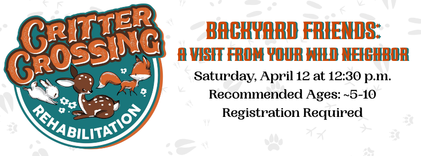 Critter Crossings: Backyard Friends - A Visit From Your Wild Neighbor ...